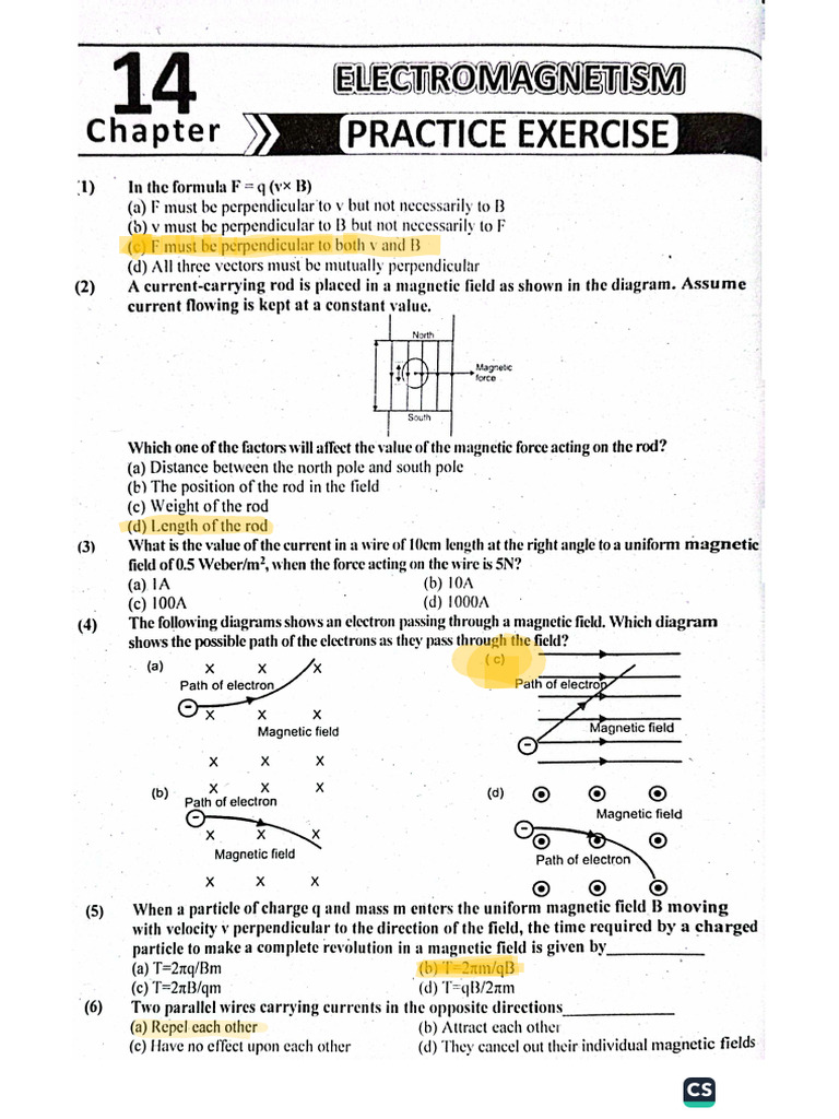 Electromagnetism TPP | PDF