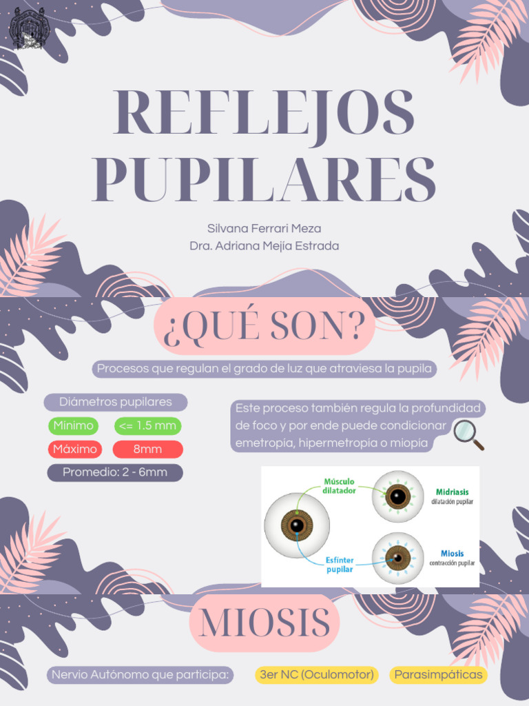 Reflejos Pupilares y su Regulación | PDF