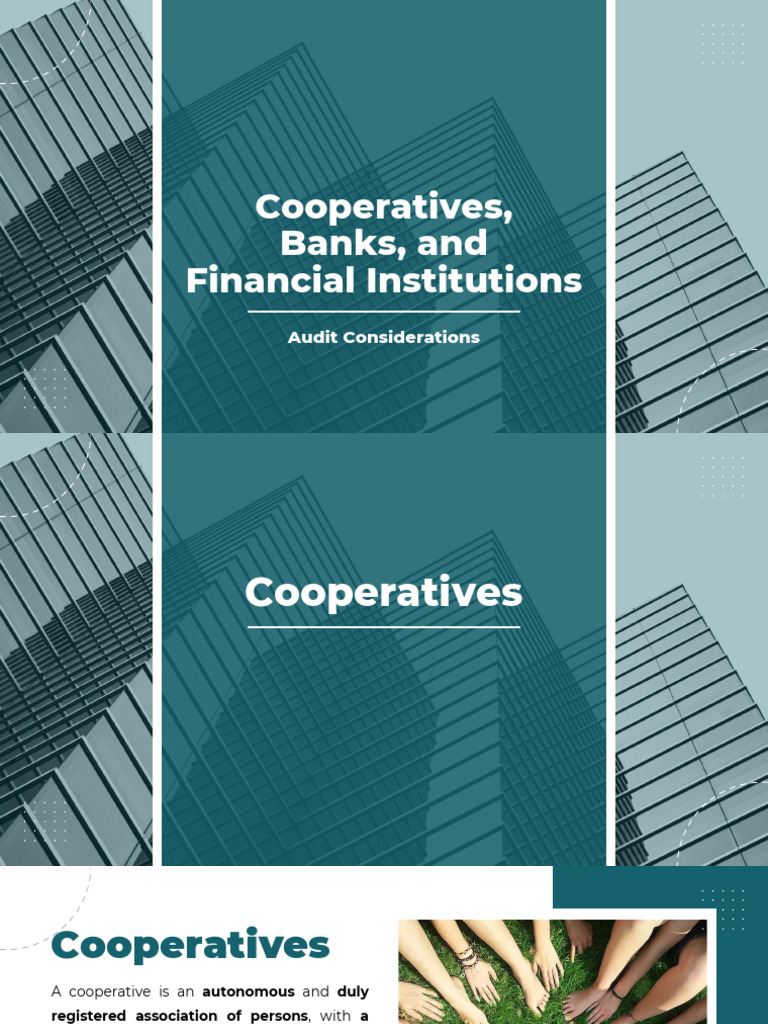 ACAUD 4251 Audit of FI - 2025 | PDF | Internal Control | Audit