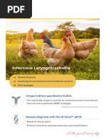 STD Pathophysiology Guide | PDF | Infection | Sexually Transmitted ...