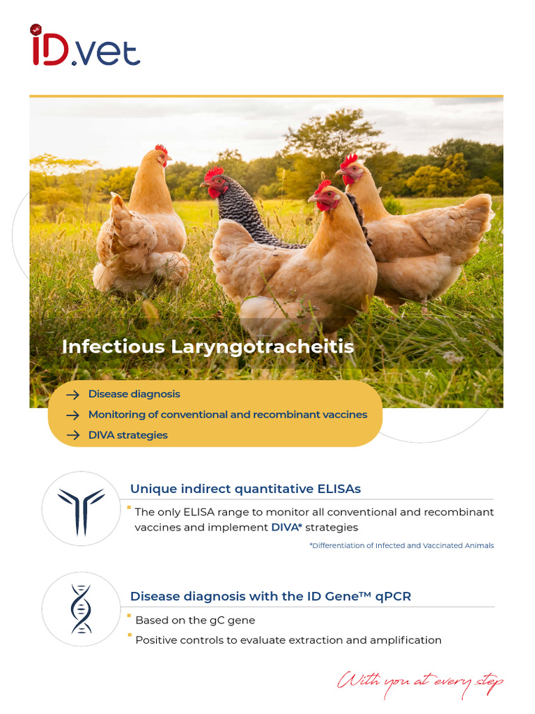 Brochure ILT range_0722EN_doc13661 | PDF | Elisa | Vaccines