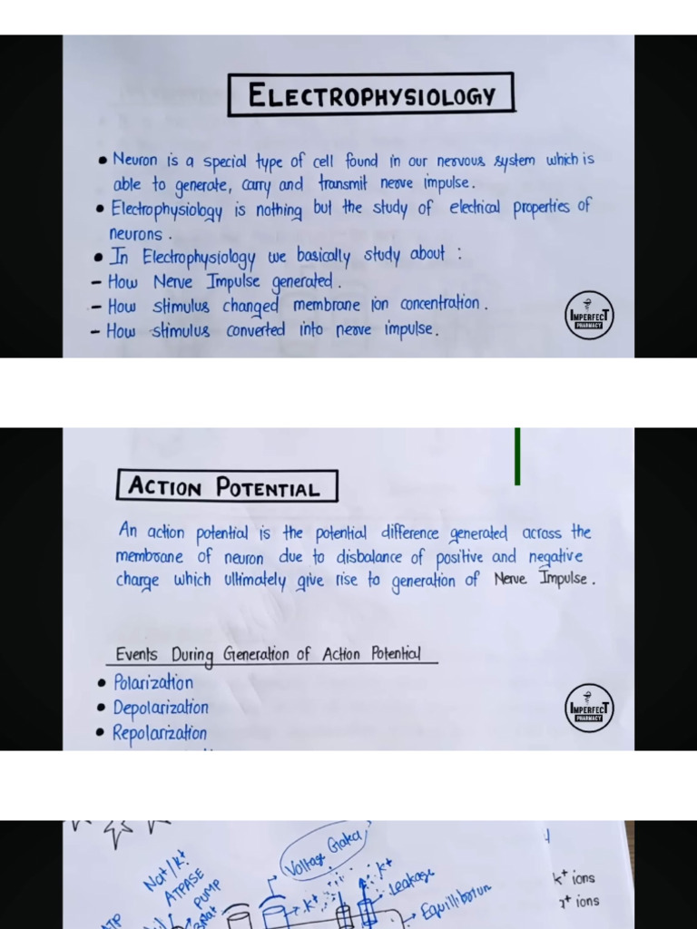Neurophysiology | PDF