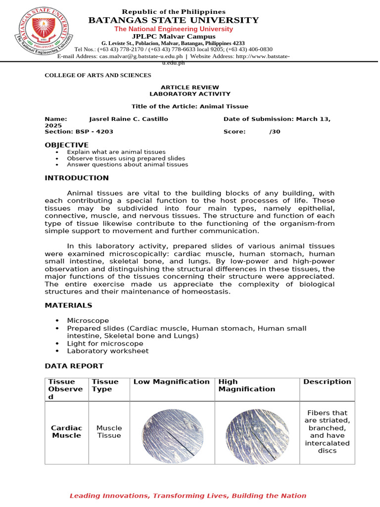 Castillo, JRC - BSP 4203 - Lab Report (Draft) - Animal Tissue | PDF | Human Body | Tissue (Biology)