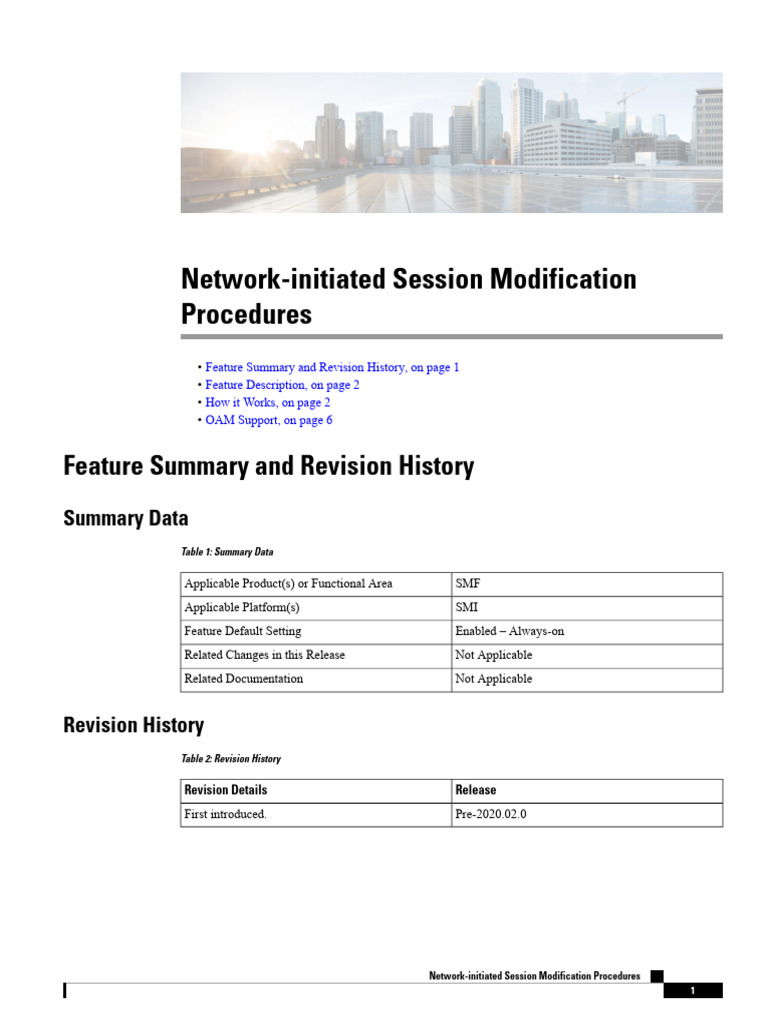 M - Network Initiated Session Modification Procedures | PDF | Computer Architecture | Software