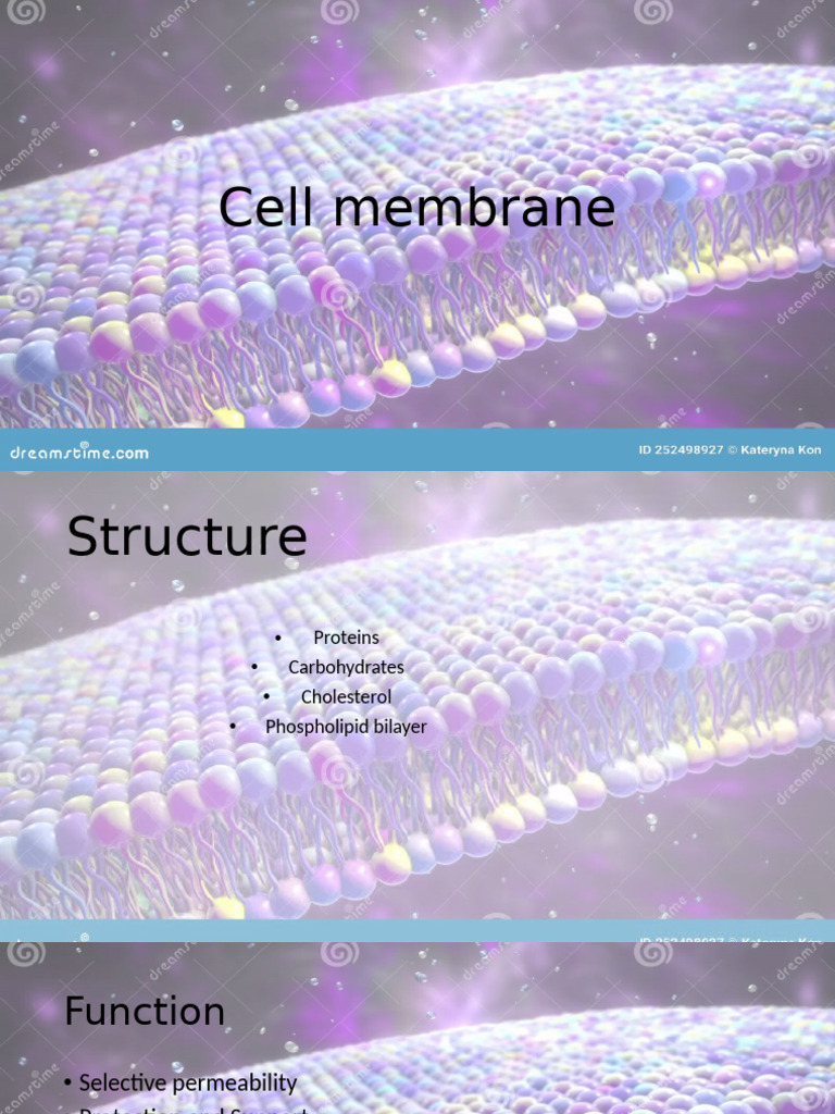 Cell Membrane | PDF