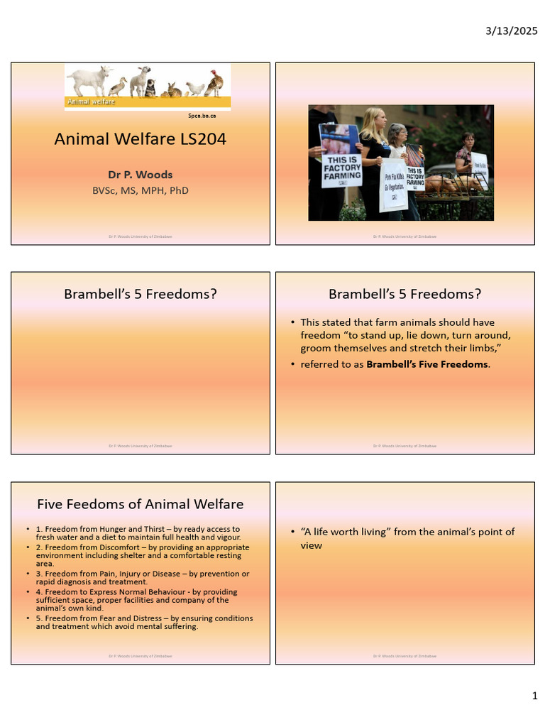 Understanding Animal Welfare Standards | PDF | Animal Welfare | Cattle