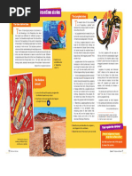 Uluru Dreamtime Stories Explained | PDF