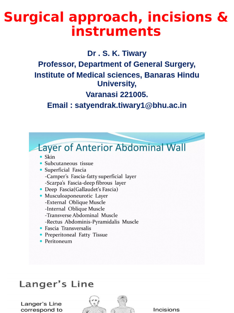 Surgical Approach, Incisions | PDF