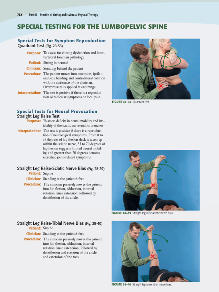 Lumbar Spine Special Tests Overview | PDF | Anatomical Terms Of Motion ...