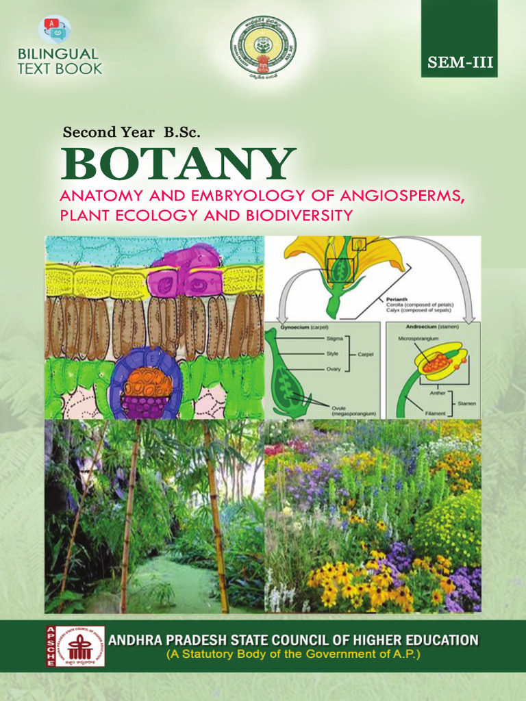 III Sem Botany | PDF | Tissue (Biology) | Plant Stem