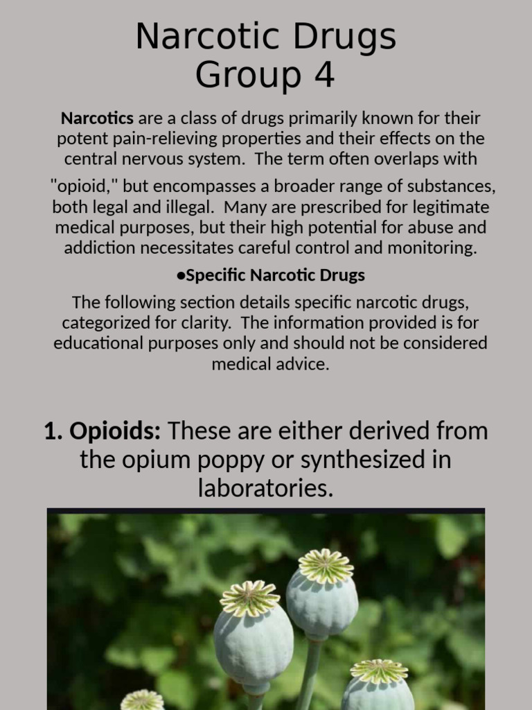 Overview of Narcotic Drugs and Opioids | PDF | Opioid | Narcotic
