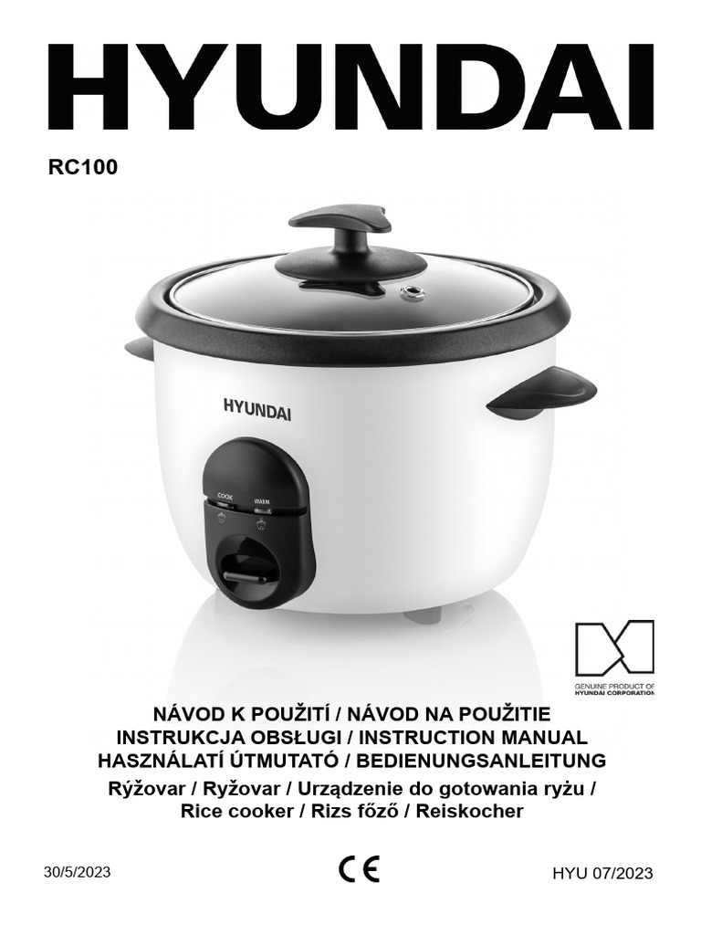 Instrukcja Obslugi HYUNDAI RC100 | PDF