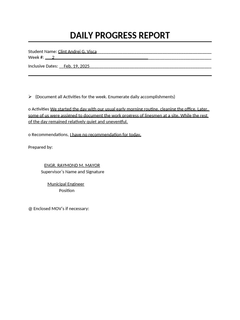 Weekly Construction Progress Report | PDF