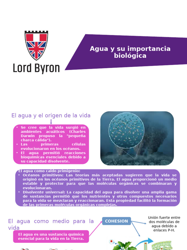 AGUA | PDF | Propiedades del agua | Agua