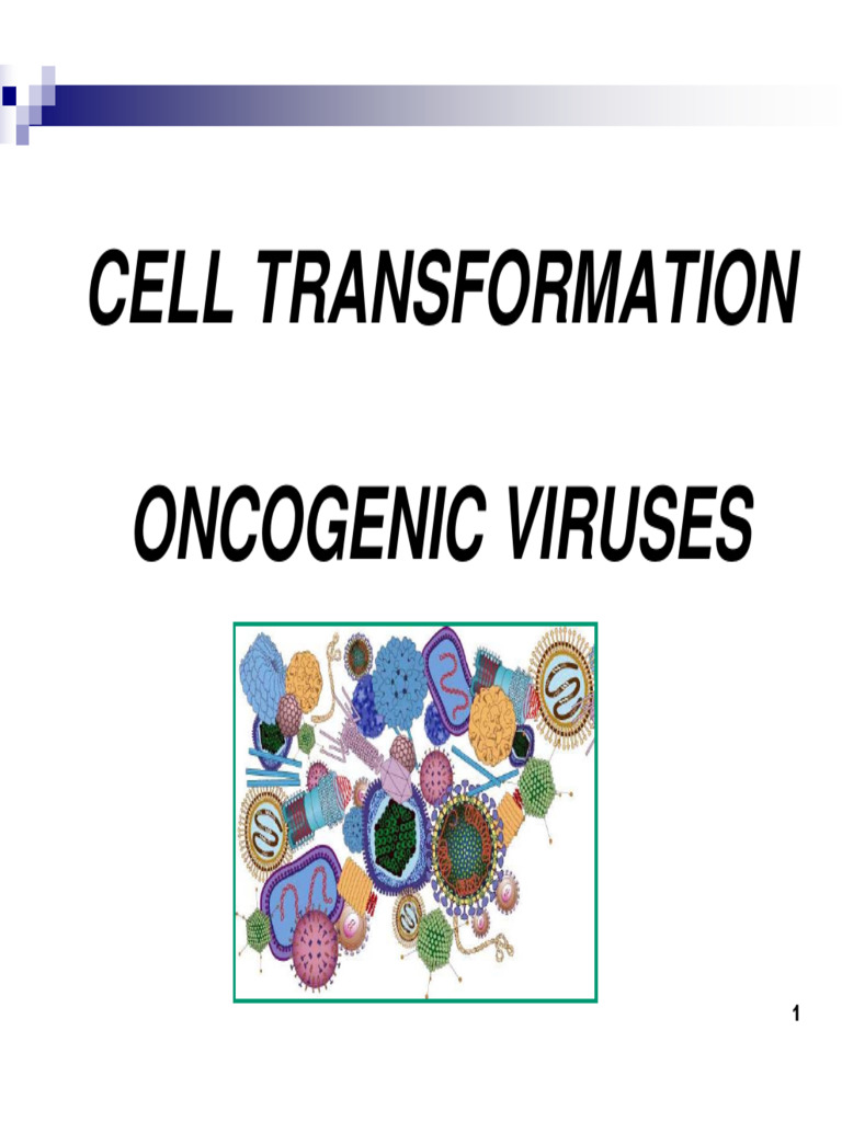 Cell Transformation Notes | PDF | Virus | Oncogene