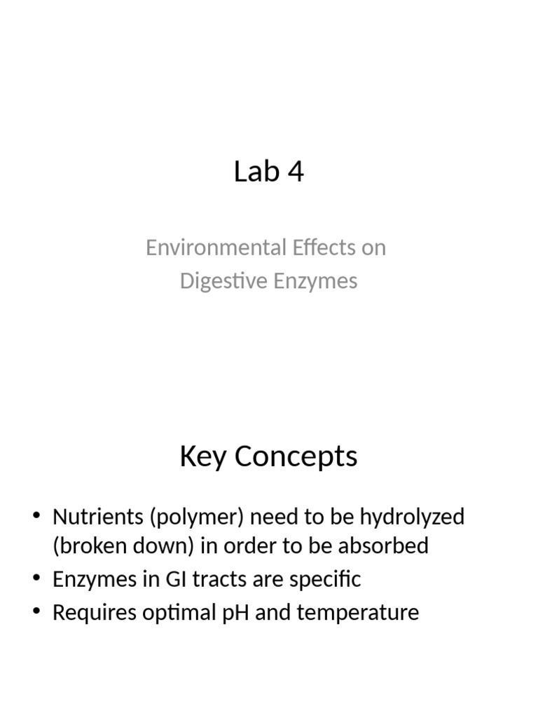 Environmental Impact on Digestive Enzymes | PDF | Digestion | Pancreas