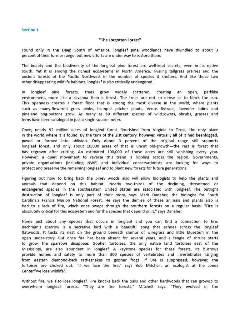 Actual Test - The Forgotten Forest | PDF | Forests | Nervous System