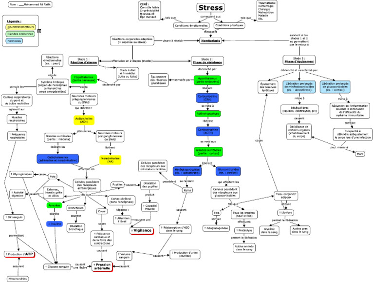 XWB - SDC2 - Stress - 2025 - VÉ_fb.cmap | PDF