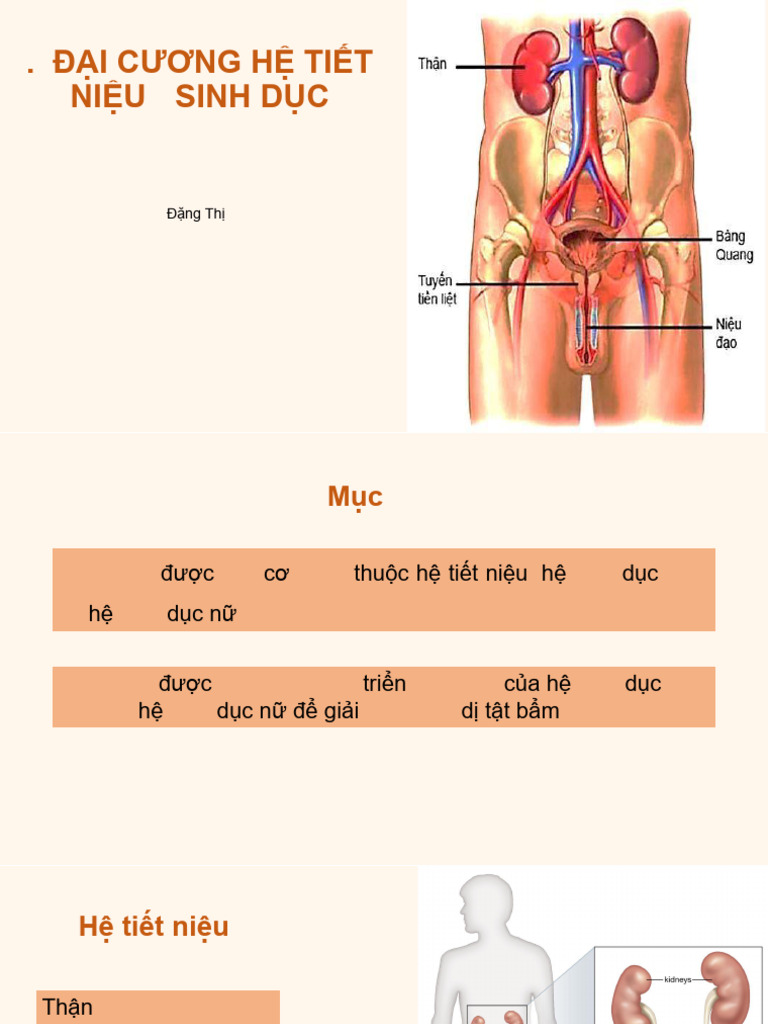 DC He Tiet Nieu Sinh Duc | PDF