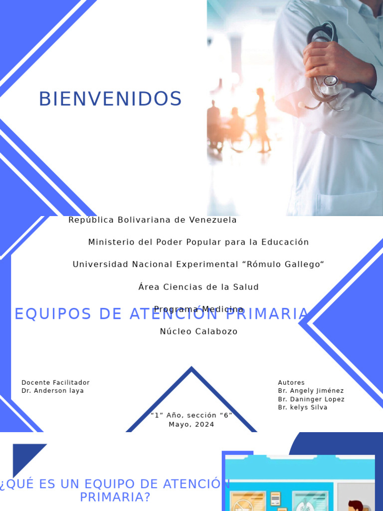 Tema 4 - Equipo de Salud en La Aps | PDF | Cuidado de la salud | Medicina CLINICA