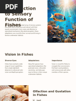 Fish Nares: Smell Mechanism Explained | PDF | Olfaction | Fish