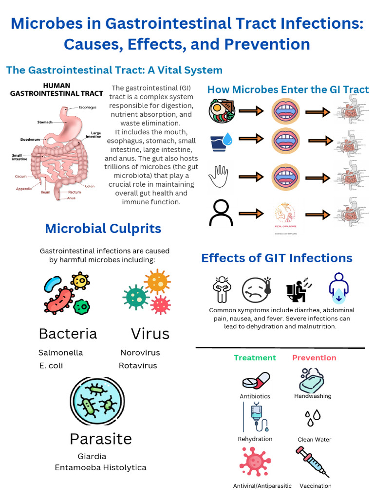 Microbes in Gastrointestinal Tract Infections Causes, Effects, and ...