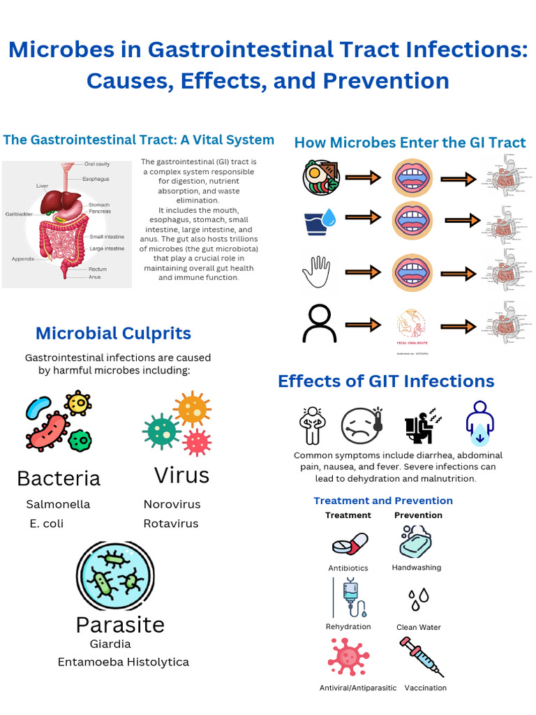 Microbes in Gastrointestinal Tract | PDF