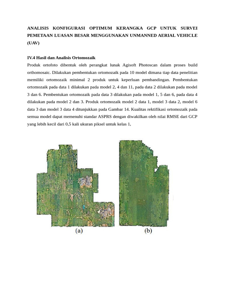 Dem DSM Orthomosaic | PDF