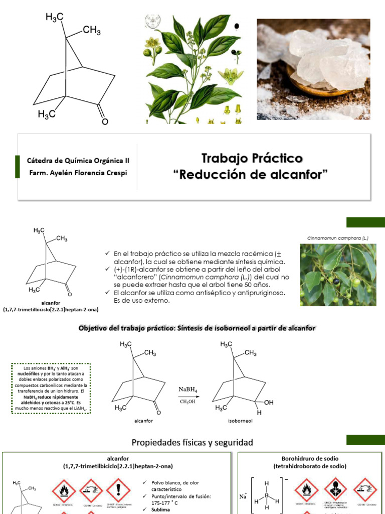 Síntesis y Caracterización del Alcanfor | PDF | Precipitación (Química ...