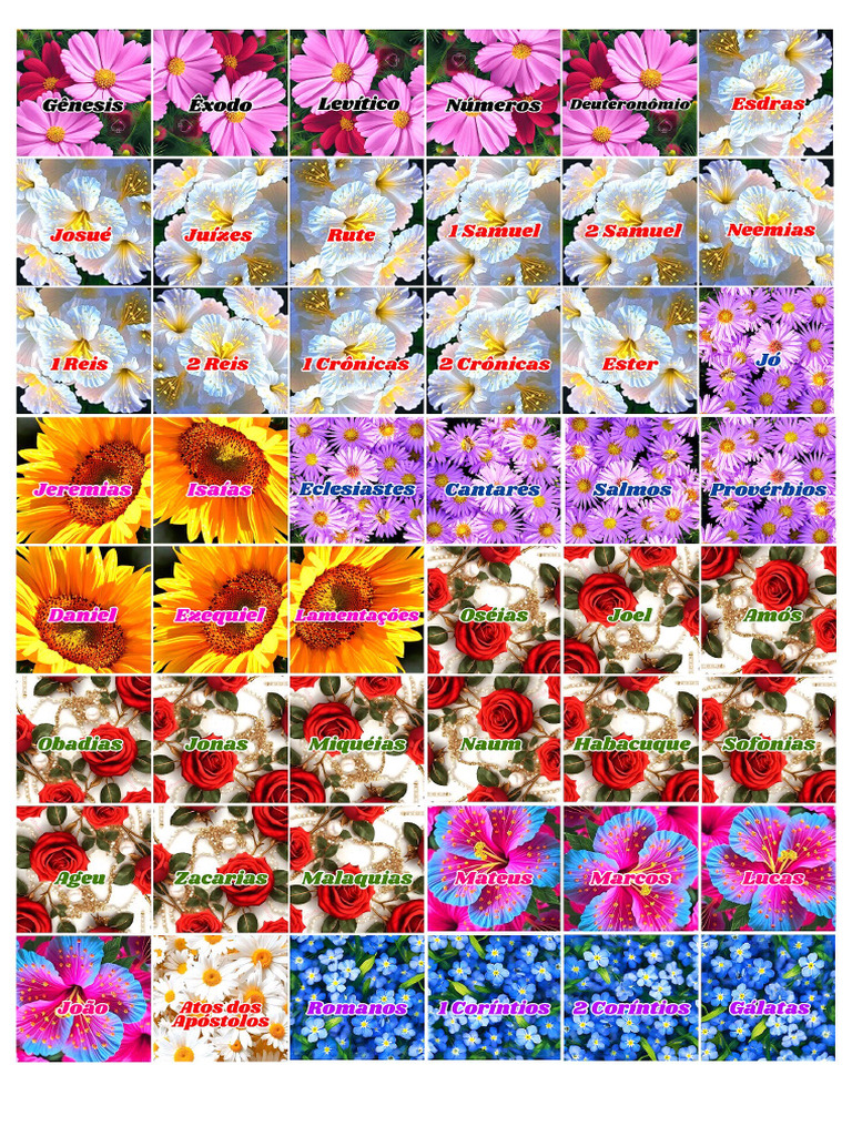 Abas para Biblia | PDF