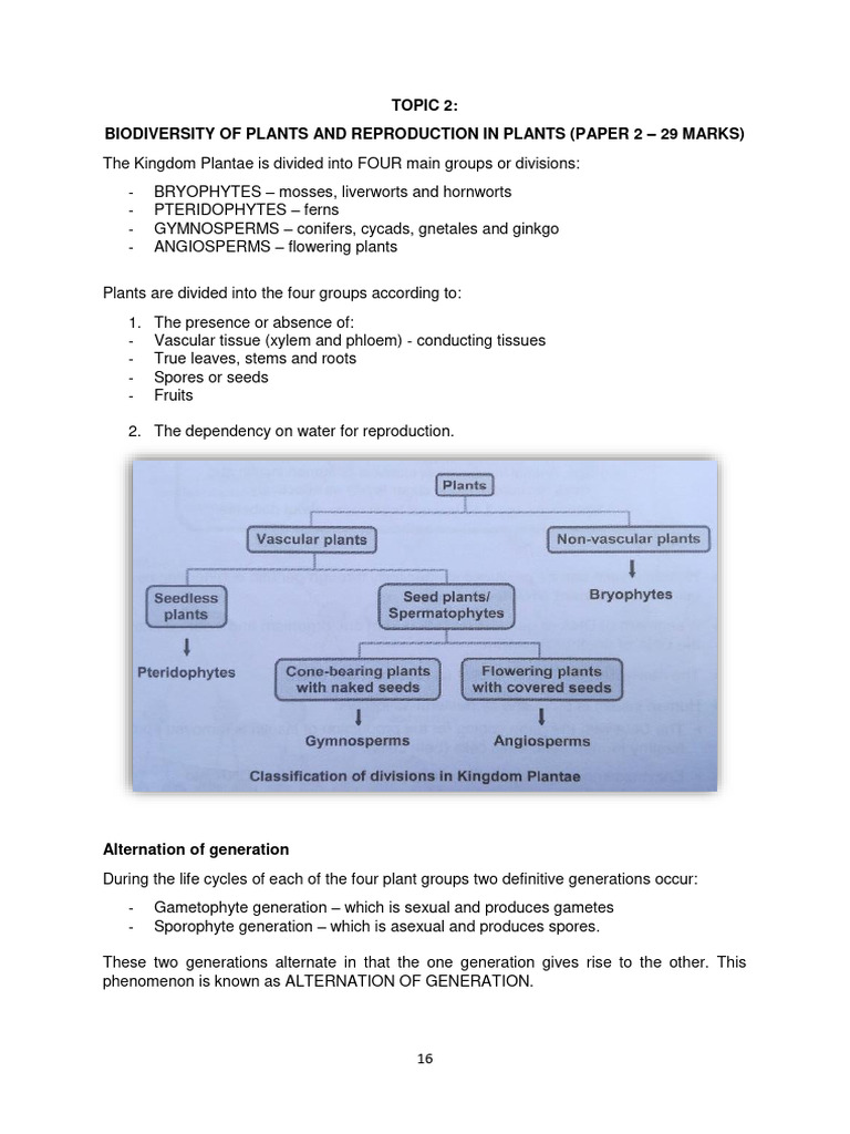 p2 - Biodiversity of Plants and Reproduction in Plants | PDF | Flowers ...