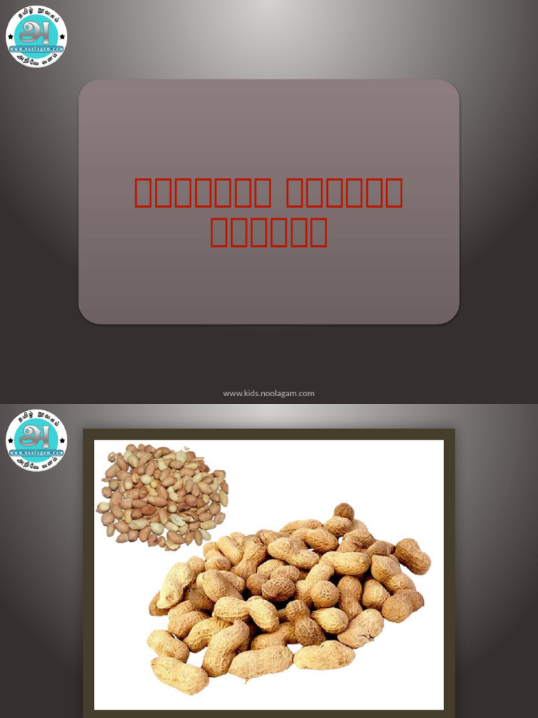 Bean PPT | PDF