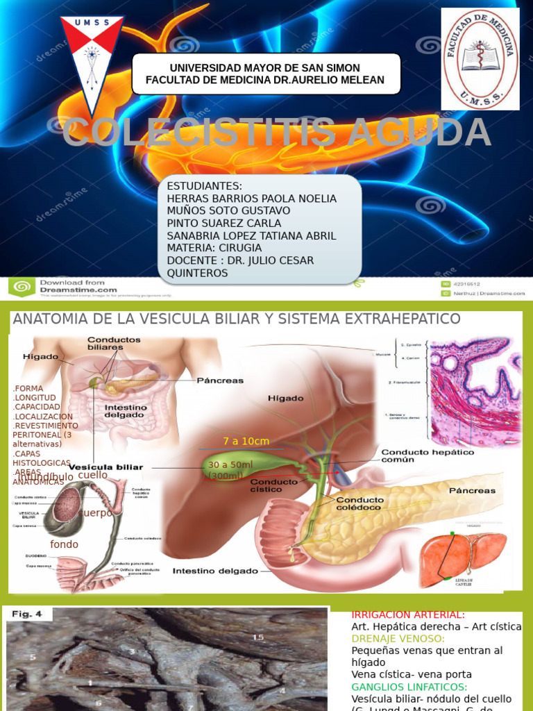 Anatomía y Tratamiento de Colecistitis | PDF | Vesícula biliar | Bilis