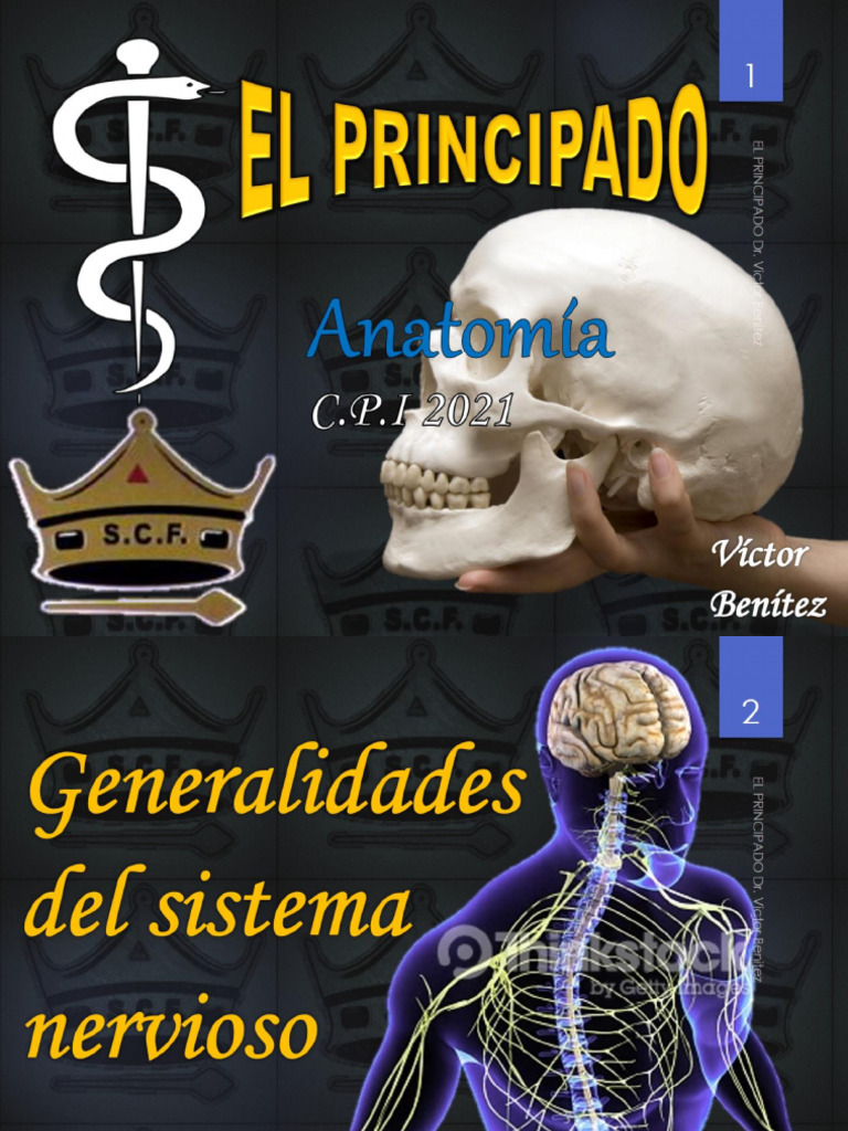 1-Generalidades de Neuro | PDF