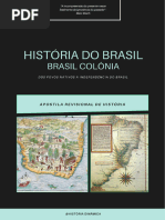 Povos Indígenas do Brasil em 1500 | PDF | Brasil | Povos indígenas