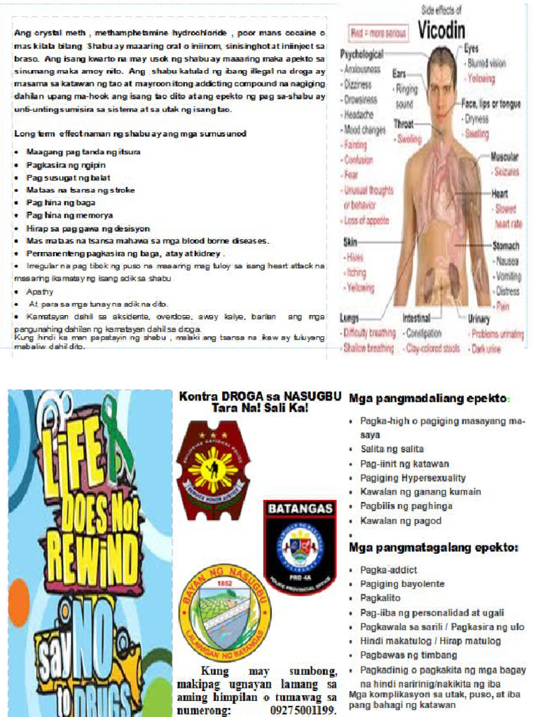 Anti Drugs Leaflets | PDF