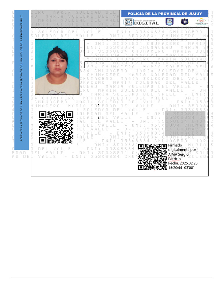 Planilla_Prontuarial-35308834 | PDF | Gobierno y personalidad | Control de acceso