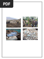 The 7 Lenses of Transformation | PDF | Leadership | Governance