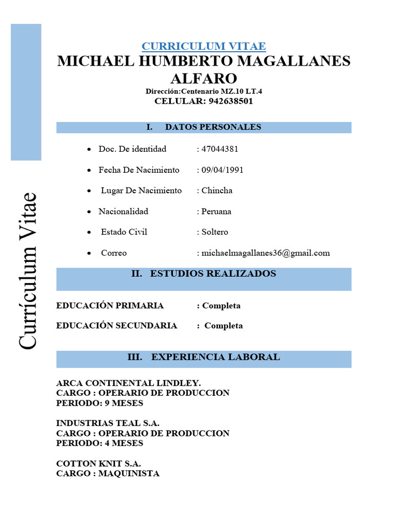 Curriculum Vitae Magallanes Alfaro | PDF
