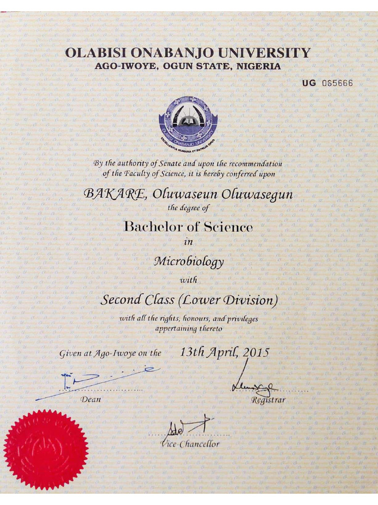 Bakare O.OFirst Degree Certificate | PDF