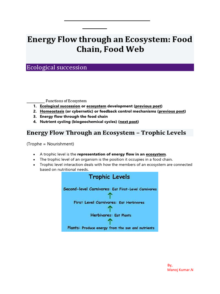 Ecosystem Characteristics and Succession | PDF | Food Web | Grassland
