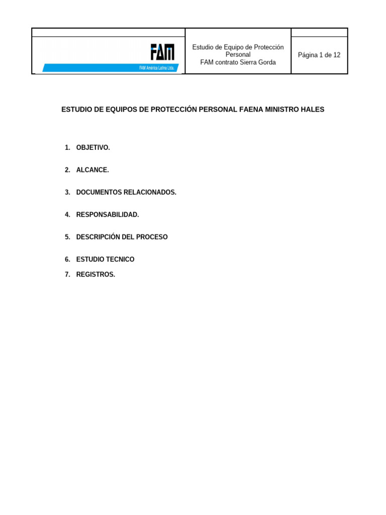 Estudio de EPP para Minera Sierra Gorda | PDF | Guante | ruido