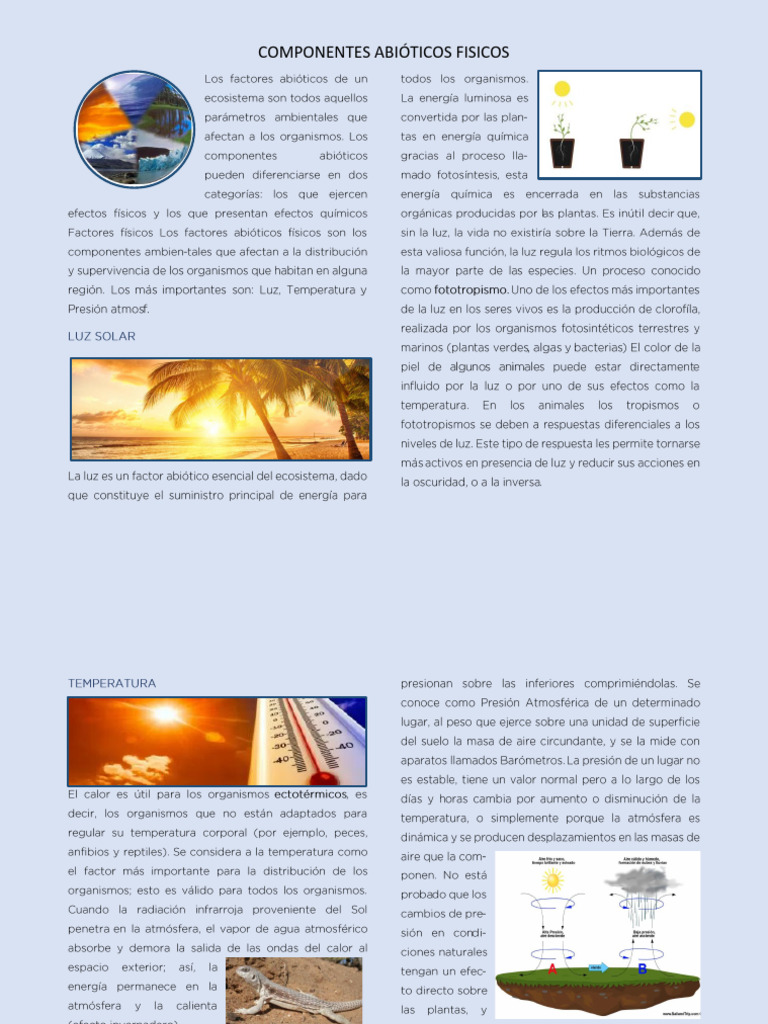Componentes Abióticos Fisicos | PDF