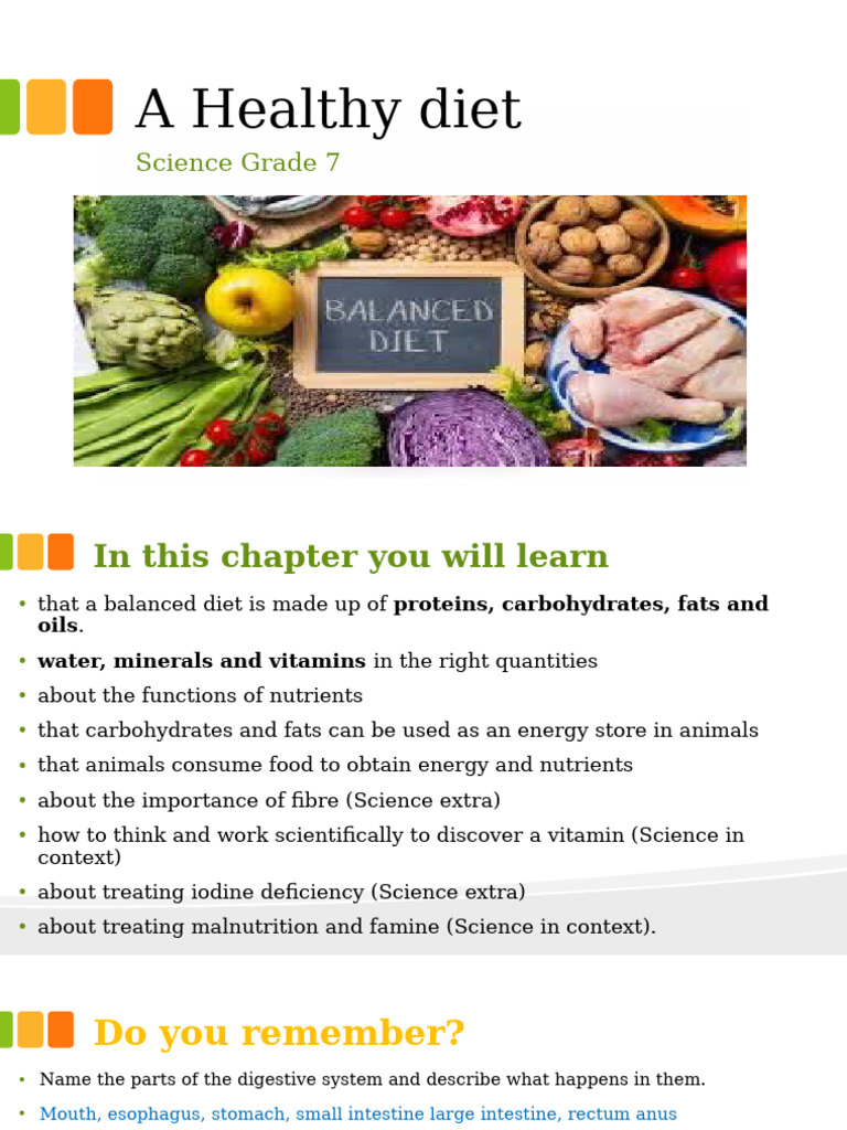 Science G 7 CH 4 A Healthy Diet | PDF | Foods | Vitamin