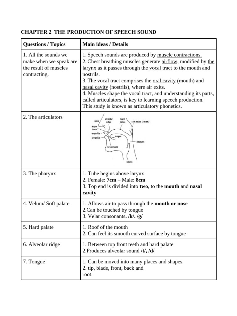Chapter 2 The Production of Speech Sound | PDF | Phonetics | Human Voice