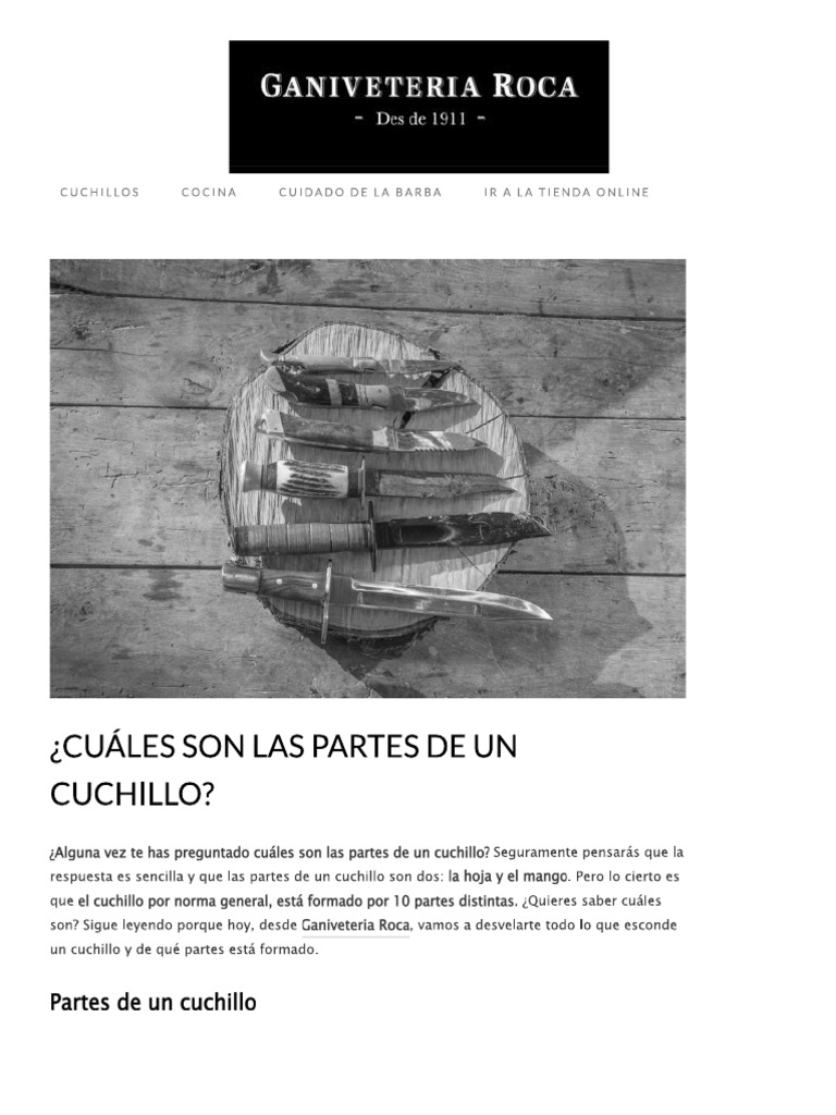 Partes de Un Cuchillo, Tipos de Puntas y Filos | PDF