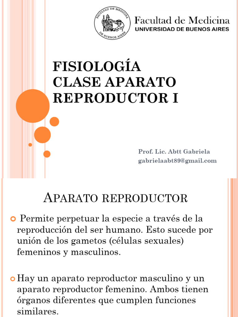 1- Clase Aparato Reproductor I | PDF | Sistema reproductivo | Testículo