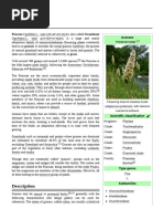 Overview of Grass Varieties | PDF | Plants | Botany