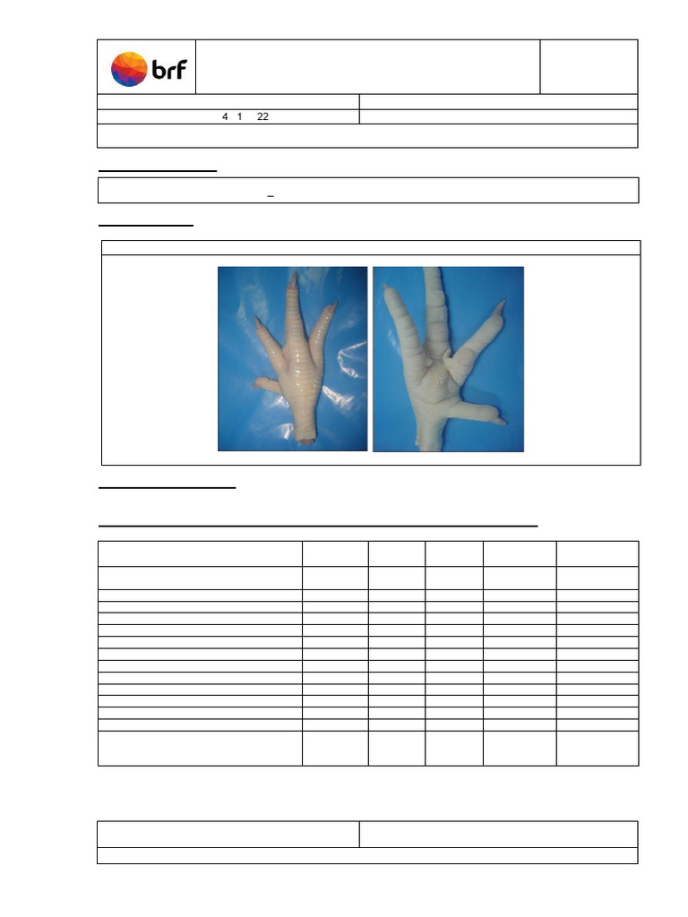 BRF Frozen Chicken Paws Specification | PDF | Pallet