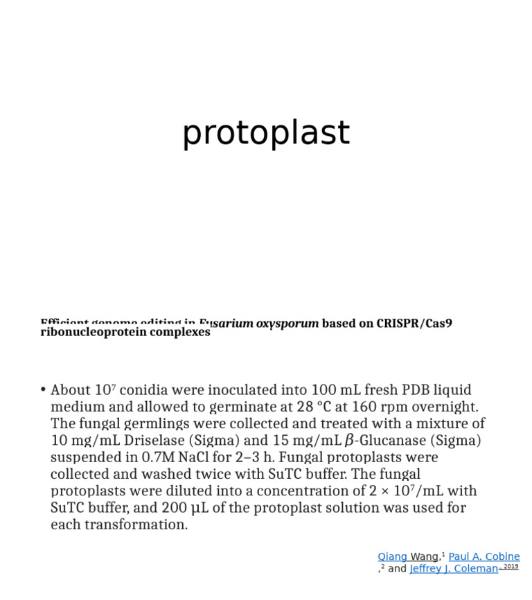protoplast | PDF